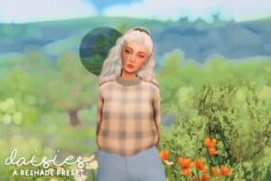 40+ Remarkable Sims 4 Reshade Presets - We Want Mods