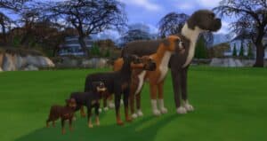 19+ Sims 4 Height Slider Mods: Adjust Your Sims Height - We Want Mods