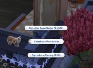 21+ Sims 4 Pet Mods: Poses, Potty Pads & Whining Mod - We Want Mods