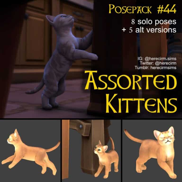 23+ Sims 4 Pet Mods: Poses, Potty Pads & Whining Mod - We Want Mods