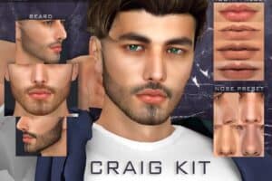27+ Sims 4 Presets: Ears, Chin & Face Presets - We Want Mods