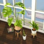 33+ Sims 4 Plant CC: Potted, Hanging, Ivy & More - We Want Mods