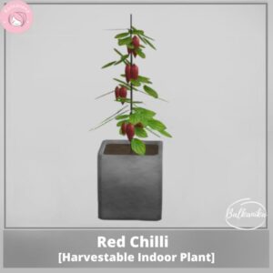 33+ Sims 4 Plant CC: Potted, Hanging, Ivy & More - We Want Mods